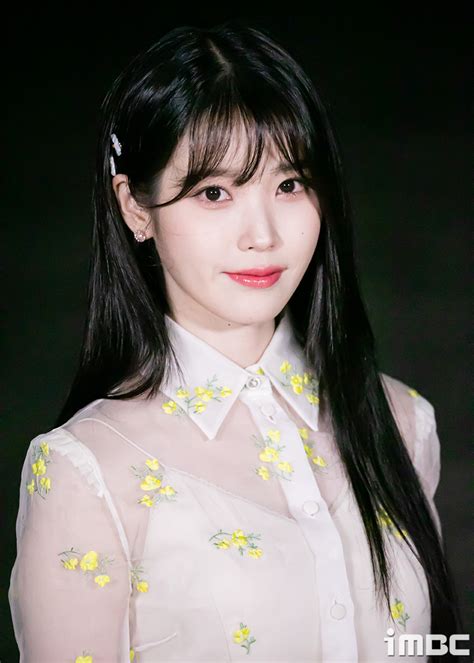 아이유 측 분홍신 표절 의혹 무응답 No…맞대응 계속 [종합]