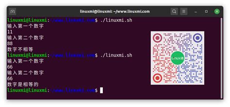 Bash脚本初学者完整教程 Linux迷