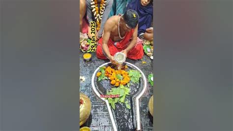 आज दिनांक 29 Jan 2025 प्रातःकाल में बाबा वैद्यनाथ जी की सरदरी पूजा का दर्शन। हर हर महादेव