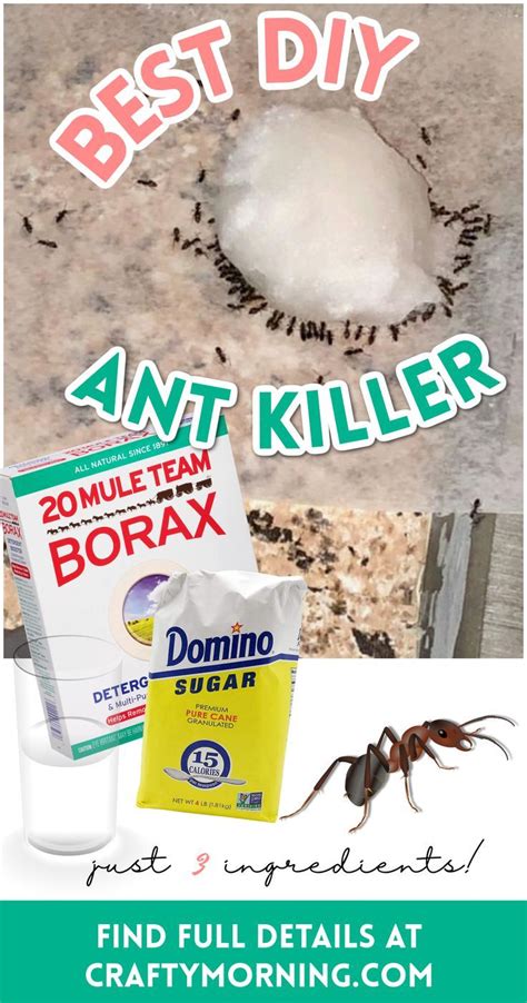 3 Ingredient Ant Killer Recipe Ant Killer Ant Killer Recipe Homemade Ant Killer
