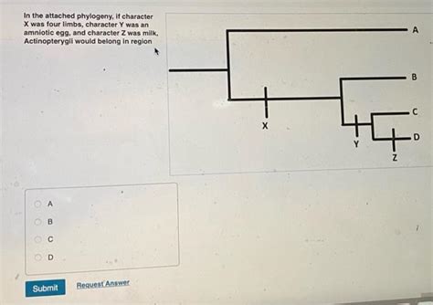 Solved In The Attached Phylogeny If Character X Was Four
