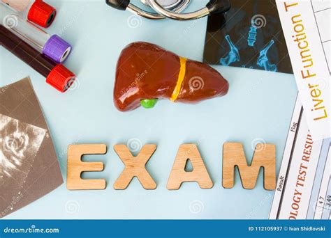 Gastroenterology Liver Or Gall Bladder Examination Tests And Procedure Concept Anatomy Model
