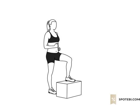 Step Up With Knee Raise Illustrated Exercise Guide