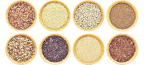 సిరిధాన్యాలతో ఆహార భద్రత General