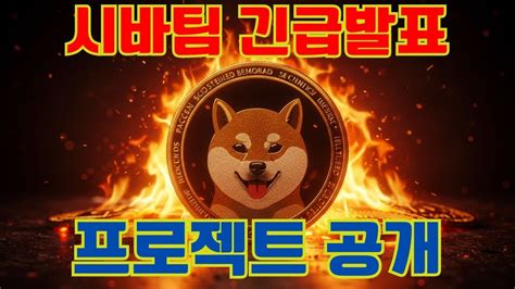 시바이누 드디어 숨겨왔던 프로젝트 최초공개시바이누분석 시바이누코인 Youtube