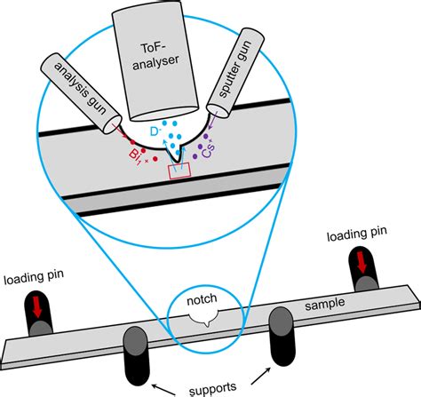 Sketch Of The Setup Of The Tof Sims Experiments Secondary Ion Images Download Scientific