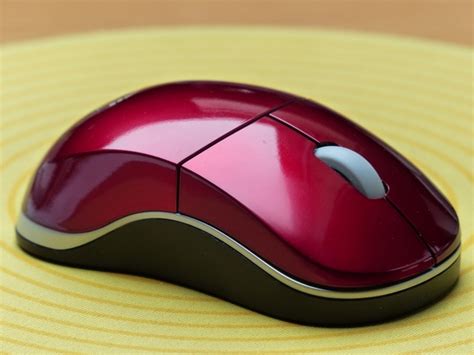 Computer Mouse Computer Input Device Photos In  Format Free And