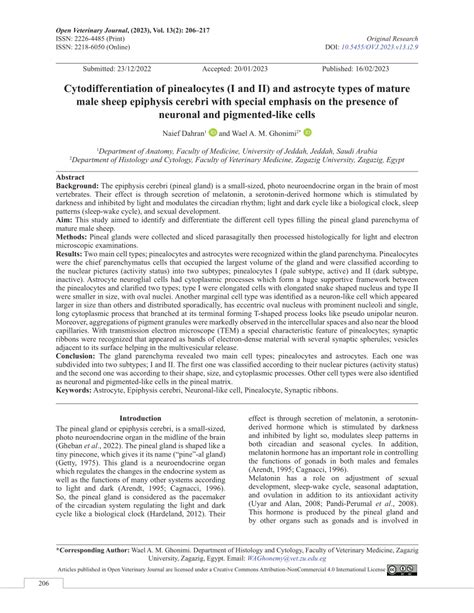 Pdf Cytodifferentiation Of Pinealocytes I And Ii And Astrocyte