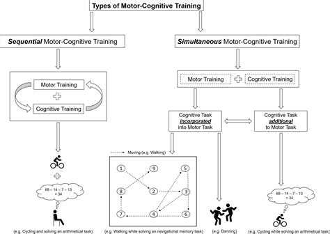 Best Exercise For Brain Health Of Older Adults — Switchedon