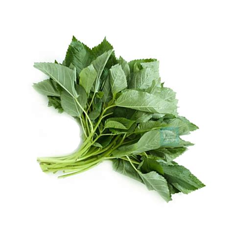 Saluyot Vs Pepper Leaves