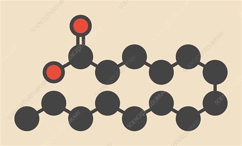 Saturated Fatty Acid Molecule Stock Image F012 6163 Science Photo Library
