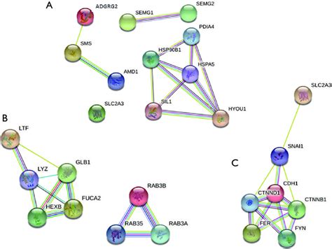 The Enriched String Analysis Of Ppi Of Deps From Seminal Plasma Samples