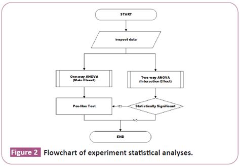 evaluating efficiency of some exact string matching algorithms on large