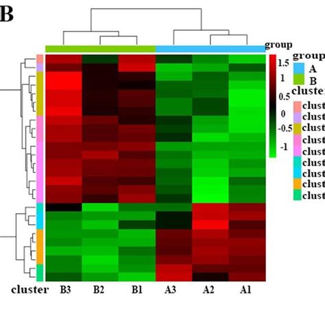 High Throughput Sequencing Analysis Download Scientific Diagram