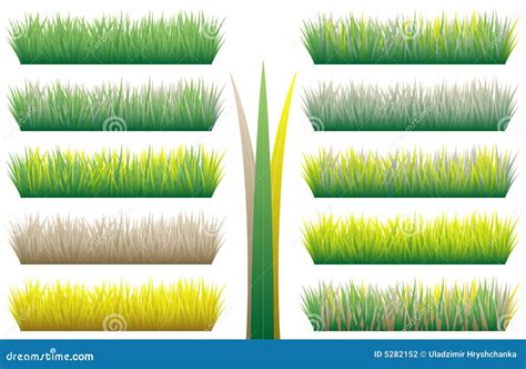 Grass Patterns Stock Vector Illustration Of Gardening 5282152