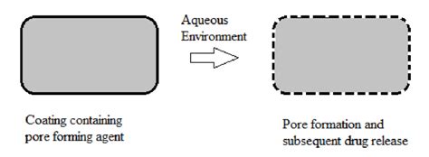 Fig No 9 Controlled Porosity Osmotic Pump Download Scientific Diagram