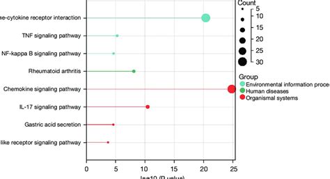 Kegg Enrichment Analysis The Abscissa Represents The P Value And The Download Scientific