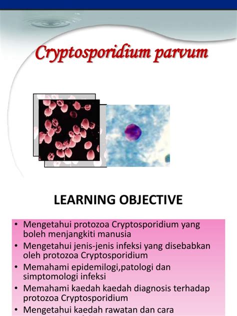 Cryptosporidium Public Health Clinical Medicine