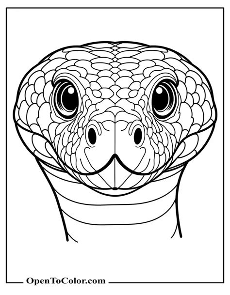 Snake Coloring Pages 70 Easy And Free Printable Pdf Opentocolor