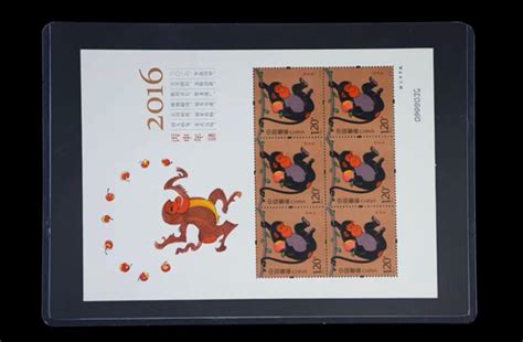 Hard Ppe Case For Pmg Notes Hobbies And Toys Memorabilia And Collectibles