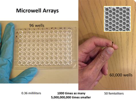Single Molecule Detection Of Proteins In Single Cells