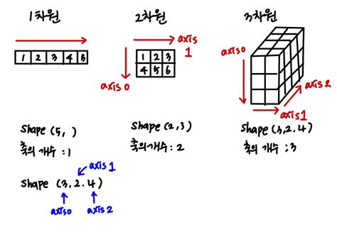 기본 파이썬 라이브러리