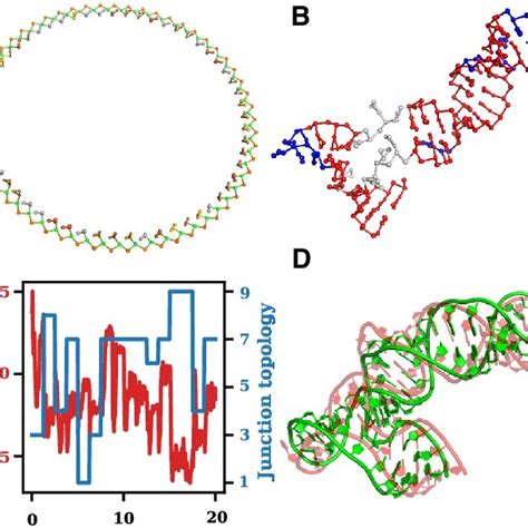 the prediction process for rna 1dk1 a a circular 3d structure download scientific diagram