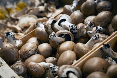 Kakšna Je Razlika Med Rjavimi In Belimi Gobami N1
