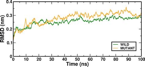 in md simulation the rmsd value is averaged over the wild atp and