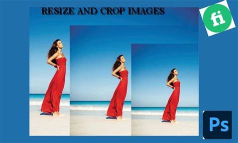 Do Resize Crop And Reduce Image Size Of Your Photo By Ansueditinghub