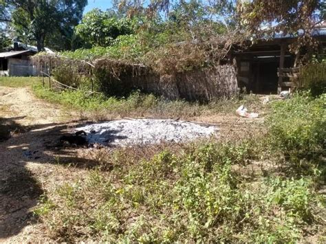 ထီးလင်းတွင် စစ်တပ် စီးနင်းခဲ့သော ရွာများကို ရှင်းလင်းရေး ဆောင်ရွက်စဥ် စစ်သားအလောင်းများကို မီးရ