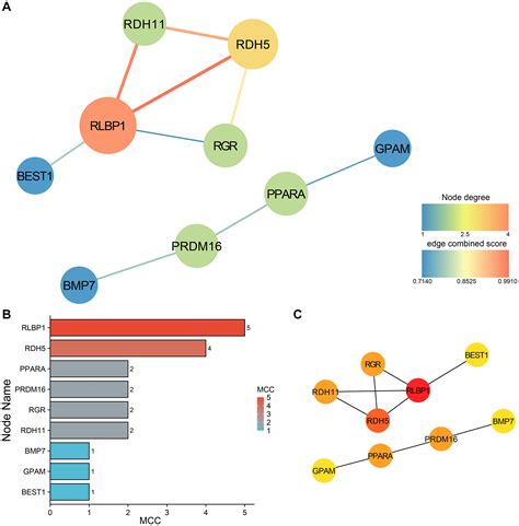 Bioinformatics Analysis For Constructing A Cellular Senescence Related Age Related Macular