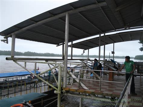 Эквадор Франсиско де Орельяна порт реки Напо