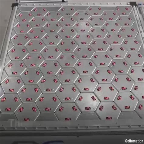 Eric Vyacheslav On Linkedin Deeplearning Machinelearning Neuralnetworks Nlp Robotics Ai