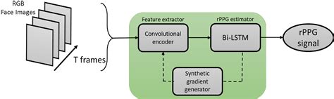Figure 13 From A Review Of Deep Learning Based Contactless Heart Rate Measurement Methods