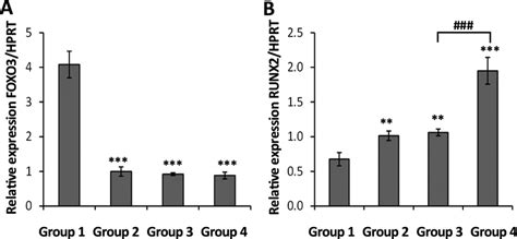 Real Time Rt Pcr Quantitation Of Expression Of The Two Target Genes