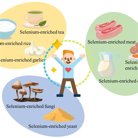 Different Selenium Enriched Foods Download Scientific Diagram