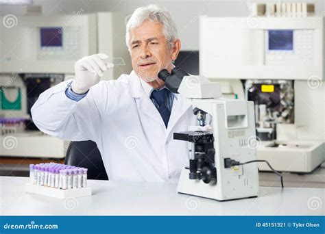 Scientist Analyzing Microscope Slide In Lab Stock Image Image Of