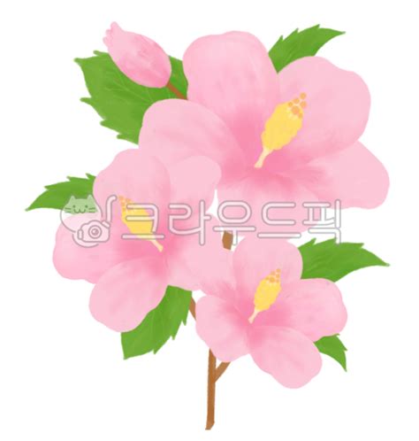 무궁화 우리나라꽃 무궁화꽃 애국심 호국보훈 사진 이미지 일러스트 캘리그라피 마이블리작가