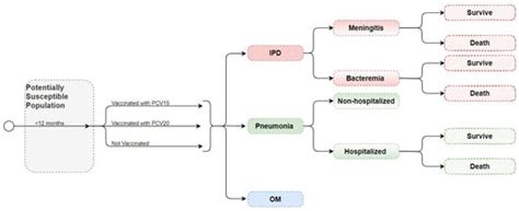 The Health And Economic Effects Of Pcv15 And Pcv20 During The First Year Of Life In The Us