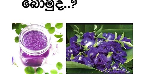 දේශීය බෙහෙත් වර්ග