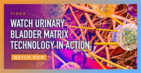 Integra Tissue Technologies On Linkedin Watch Urinary Bladder Matrix