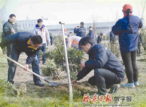 好收成员工参加义务植树 启东日报