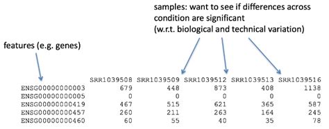 Rna Seq 详细教程：count 数据探索（4） 腾讯云开发者社区 腾讯云