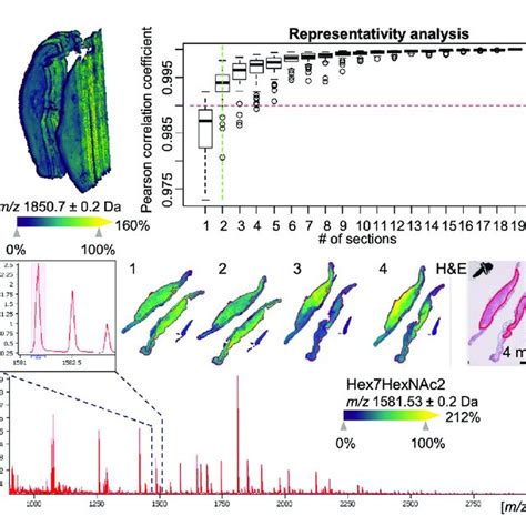 Examples Of 3d And 2 5 Mass Spectrometry Imaging Msi Data A 3d Download Scientific Diagram