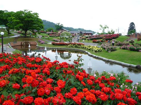 東沢バラ公園 バラ園紹介 NOIBARA