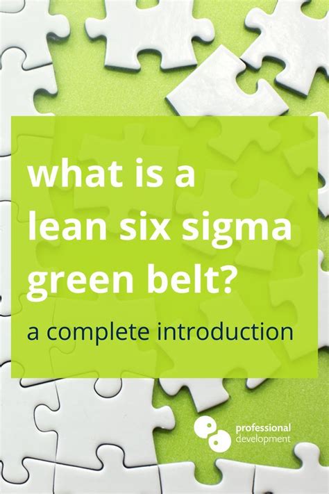 Lean Six Sigma Belts And Roles Your Helpful 5 Minute Guide Artofit