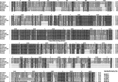 Multiple Sequence Alignment Of The Deduced Amino Acid Sequences From