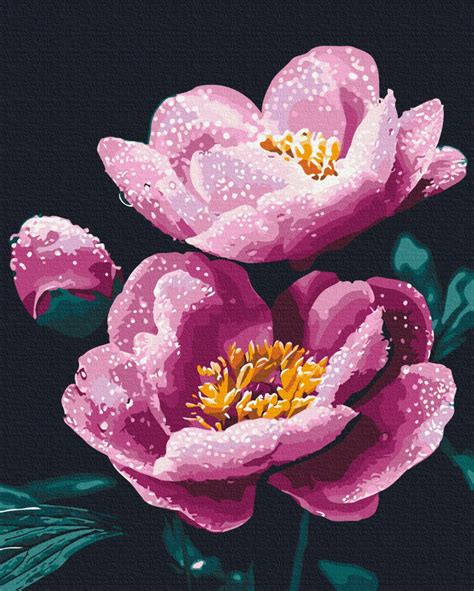 Картина по номерах Картина по фото Друк за власним фото Вартість картин за номерами з