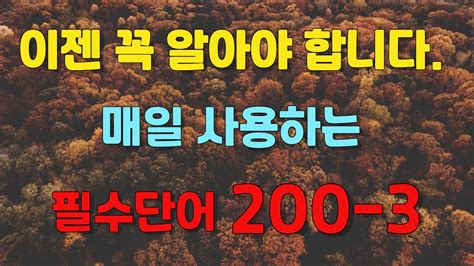 평생 사용하는 영어단어 3 필수 영단어 기초영어 Youtube